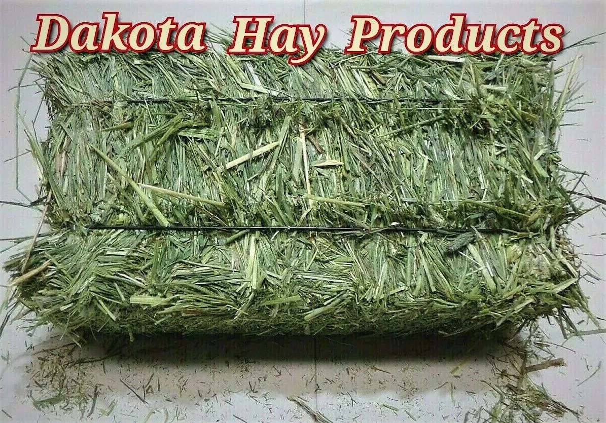 Timothy Grass Hay