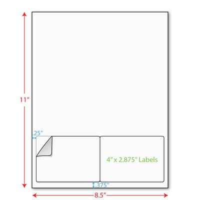 4" x 2-7/8" (4" x 2.875") Integrated Laser Label Form Sheet, 2 Up ...