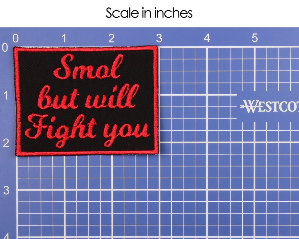 Smol But Will Fight You Patch - Made in USA - Fight Me Patch - Shorty ...