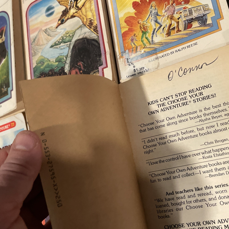 31 CYOA Choose Your Own Adventure Kids Books Vintage Lot Game 127 89 86 ...