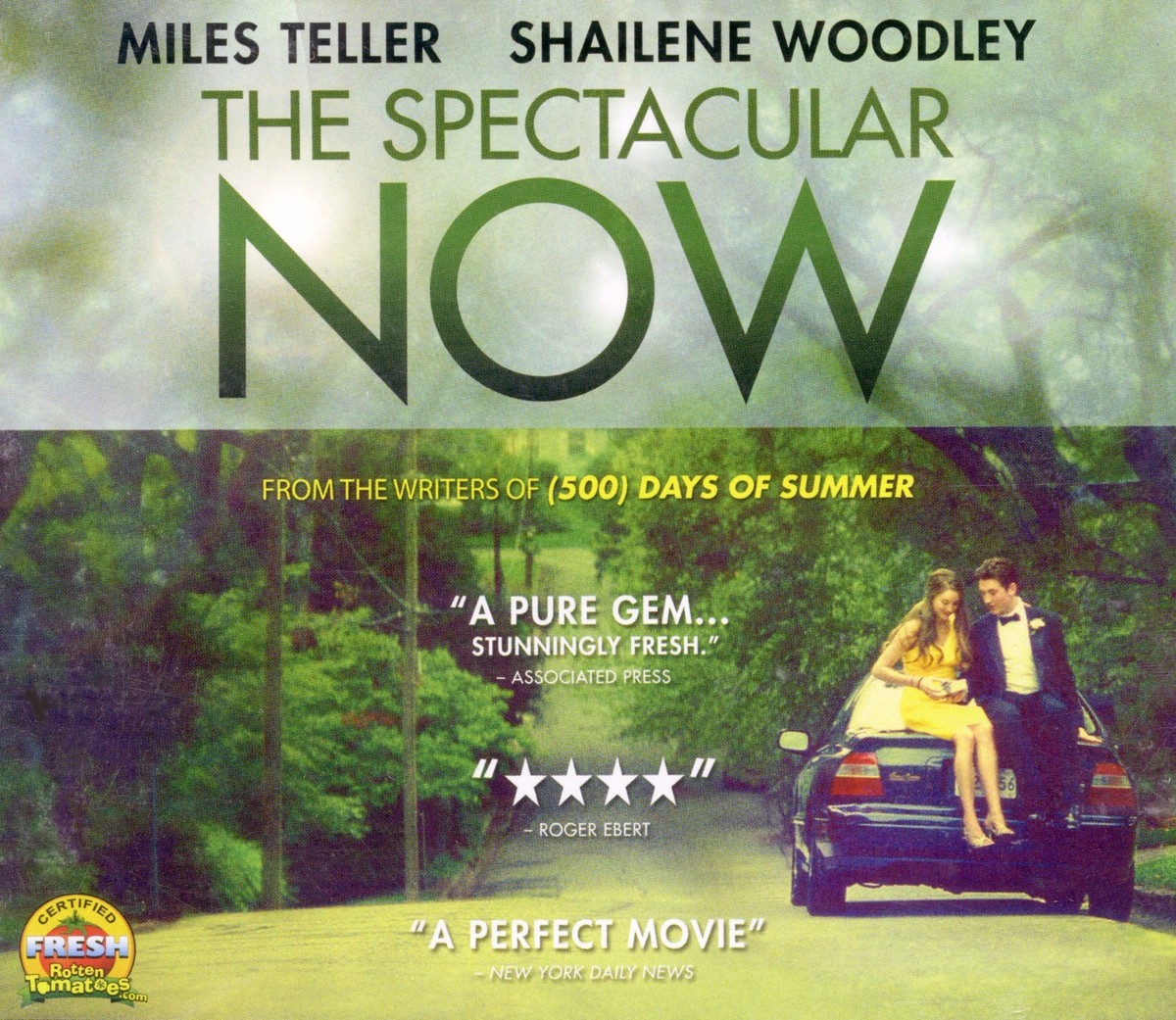 Le Spectaculaire Maintenant Dvd The Spectacular Now 2013 R Romcom