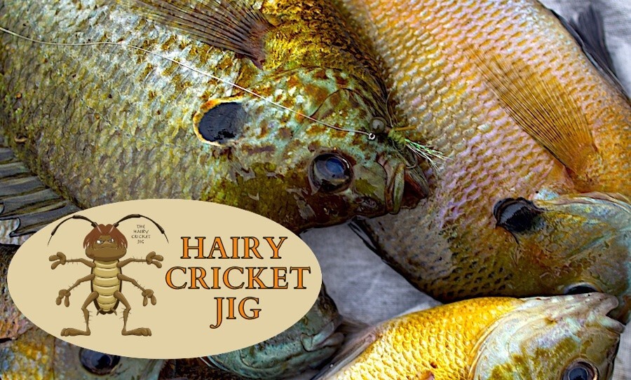 Hand Tied Jigs - Shellcracker and Bluegill Jigs the Hairy Cricket Jig ...