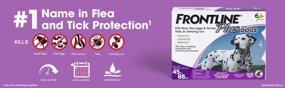 Frontline Plus for Dogs 23-44 lb | Fipronil kills fleas & ticks ...