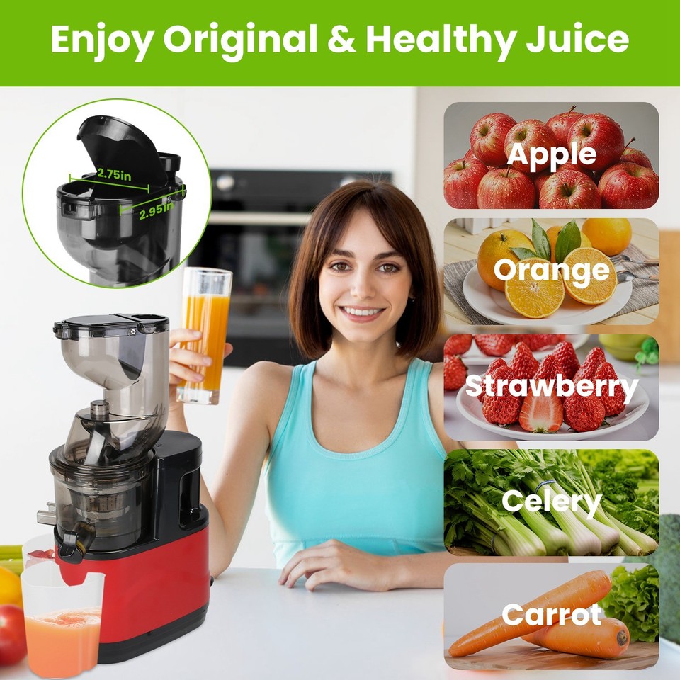Cold Press Juicer Machine 300W Electric Slow Masticating Juicer For ...