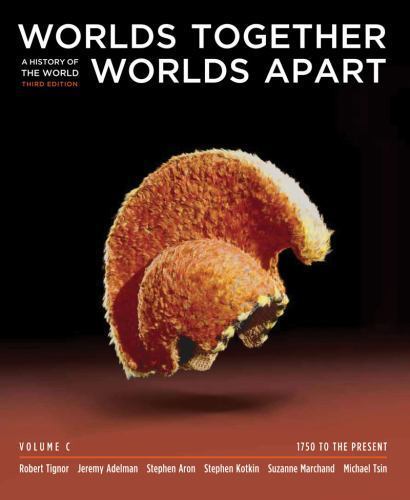 Worlds Together, Worlds Apart : A History of the World: 1750 to the ...