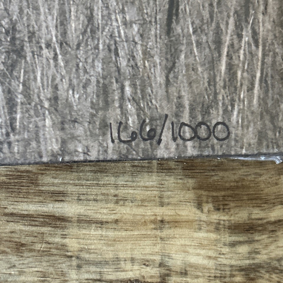 VV Exclusive Jane Remover Census Designated Marble Vinyl Signed ArtCard ...