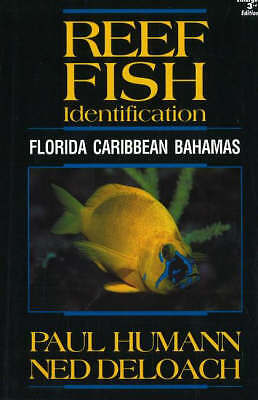 Reef Fish Identification: Florida, Caribbean, Bahamas by Ned DeLoach ...