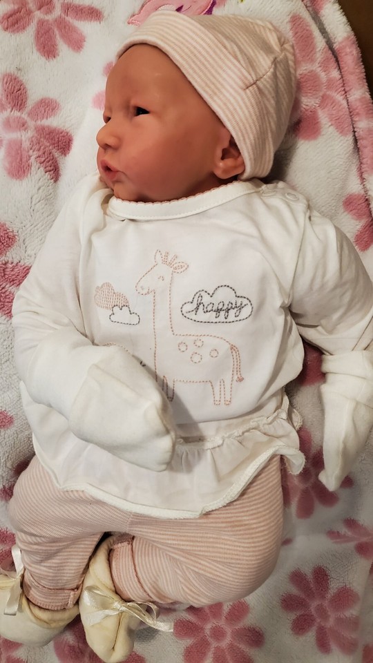 Full body Silicone Head And cuddle baby doll Body, reborn, silicone ...