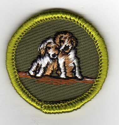 Merit Badges Collectibles BOY SCOUTS DOG CARE MERIT BADGE TYPE F KHAKI ...