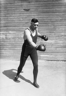 Jess Willard Boxer In Pose 1923 OLD BOXING PHOTO | eBay