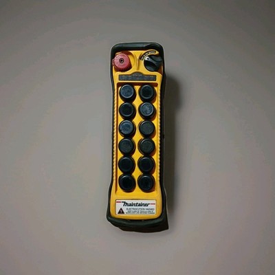 Magnetek FLEX 12PRO 12-button Hoist Transmitter Auto Crane | eBay