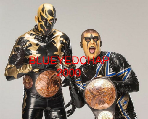 Wwe Goldust And Stardust