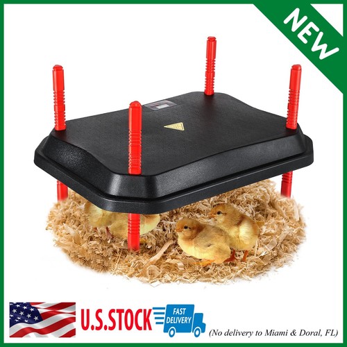 Chick Brooder Heater Plate 16'' x 22'' 60W for 50 Chicks Large Size ...