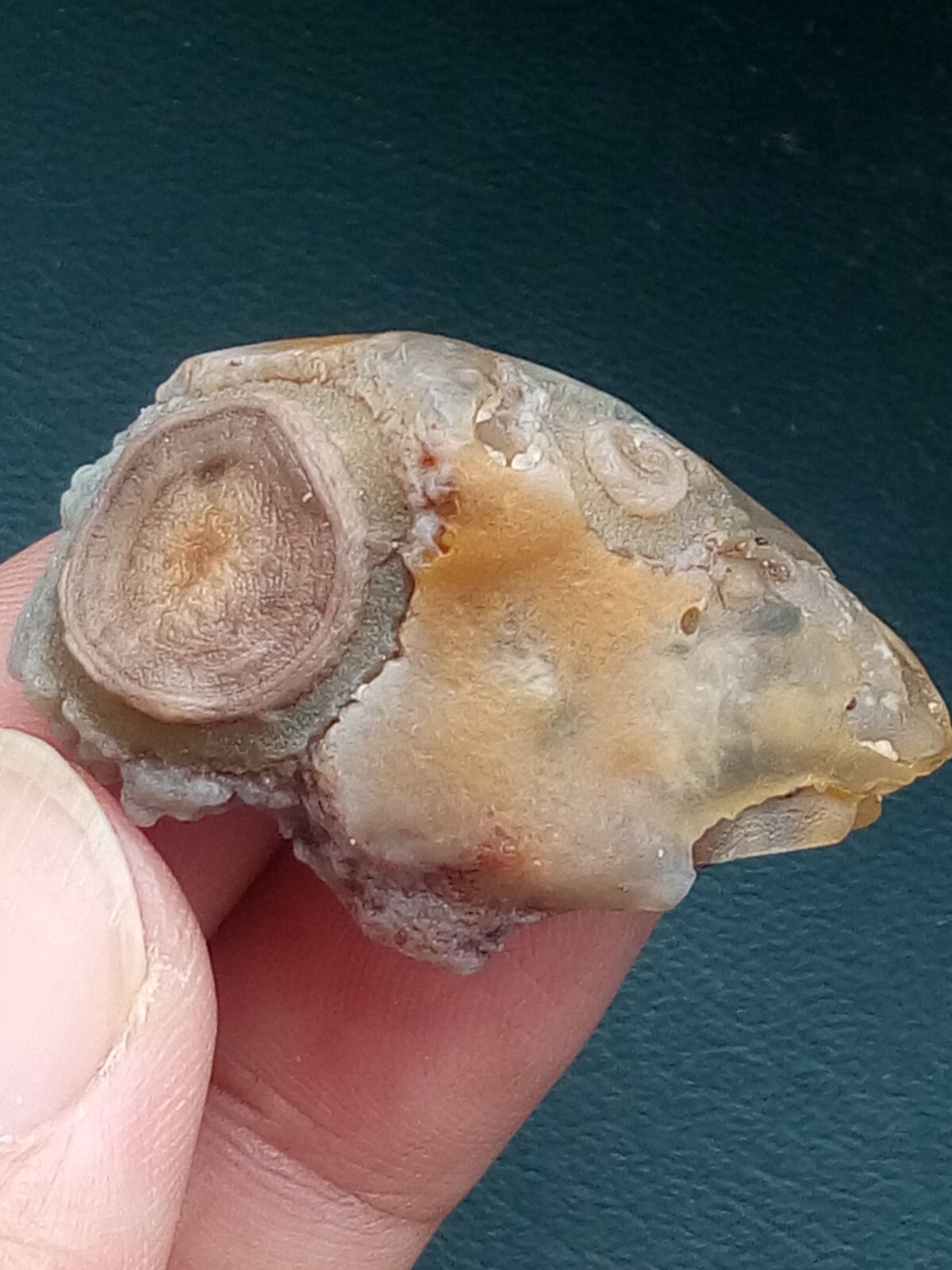 37mm Natural Gobi agate eye agate stone collection china | eBay