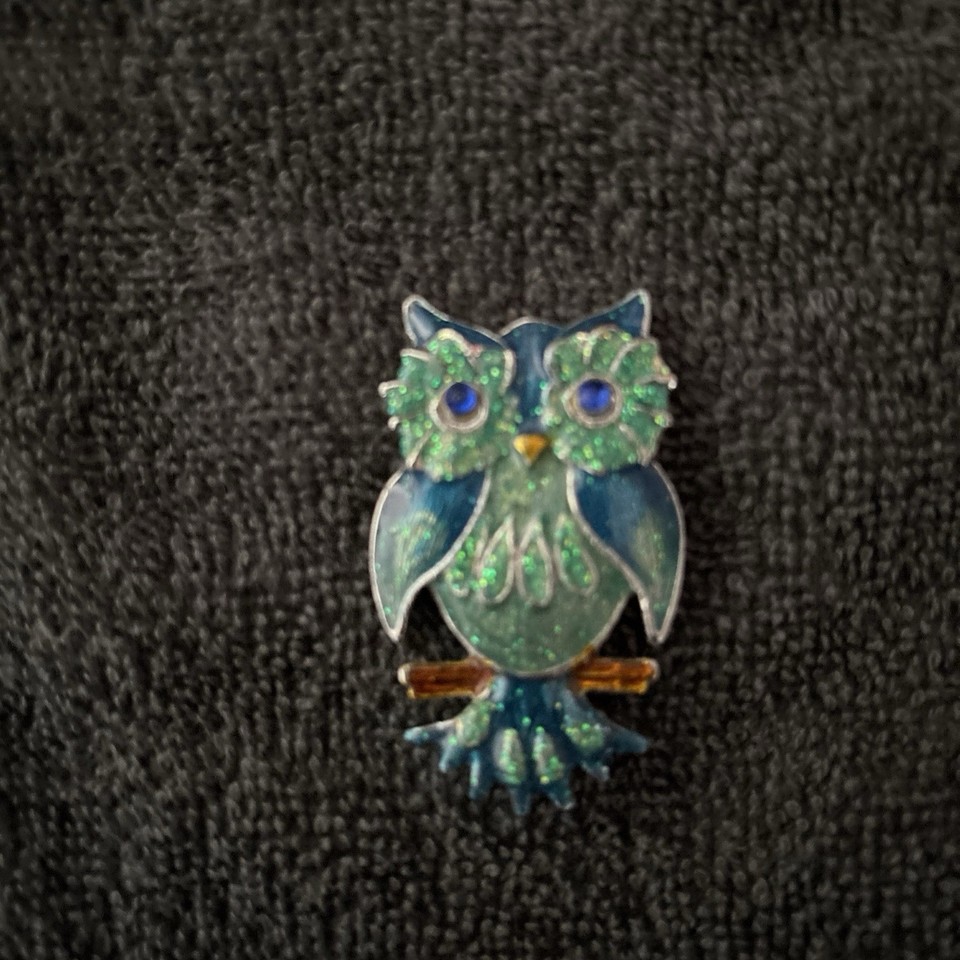 3 Peice Bundle Owl Brooch Pin Set | eBay UK