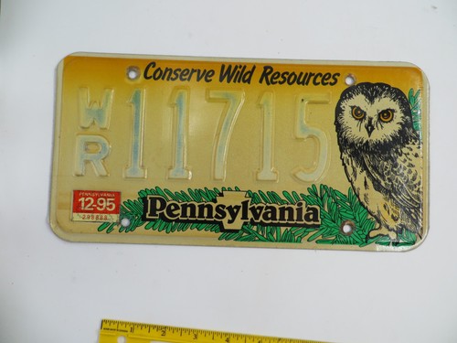 Vintage 90s Pennsylvania Owl License Plate Conserve Wild Resources 12 ...