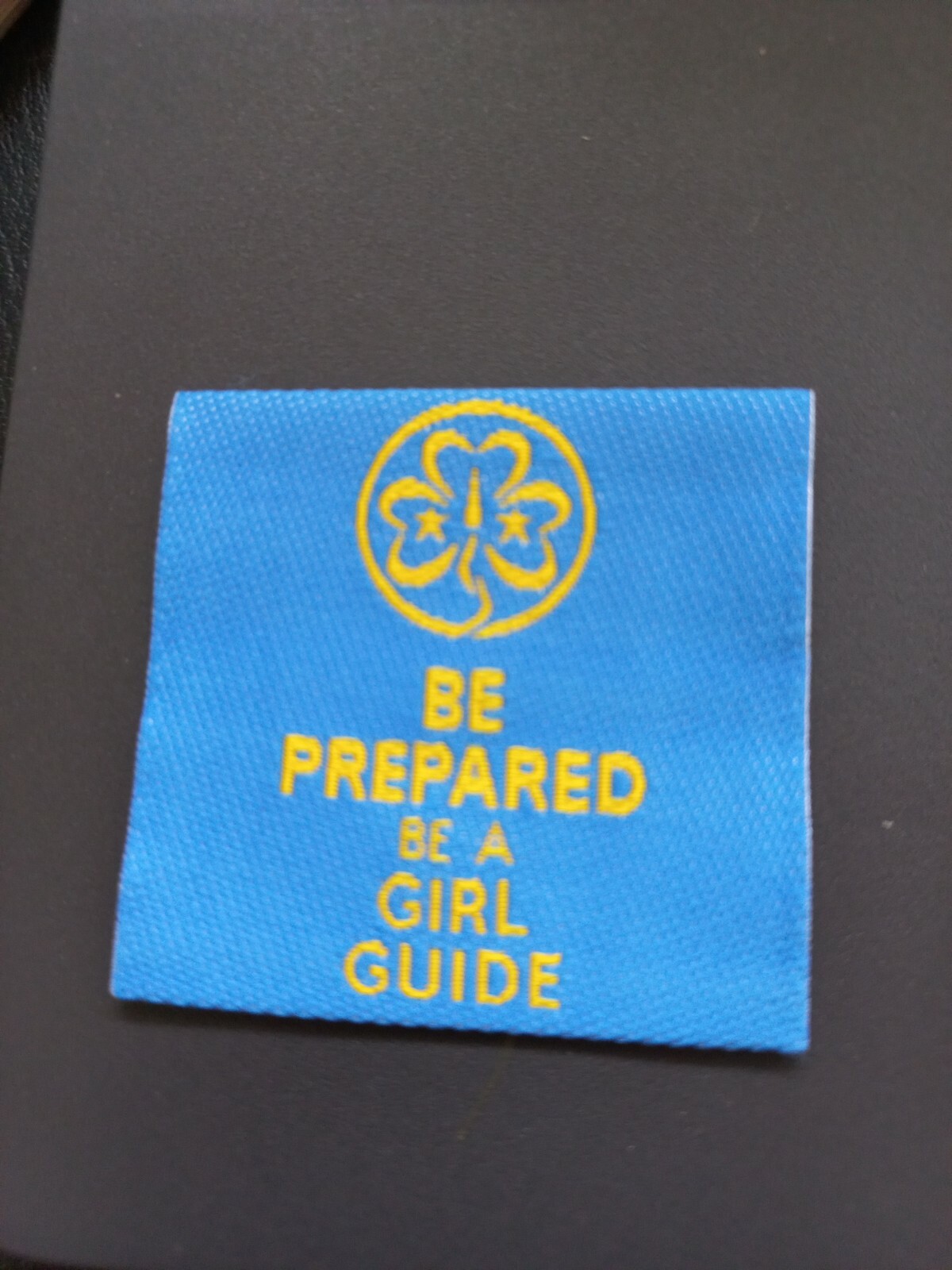 Be Prepared Be A Girl Guide Badge | eBay Australia