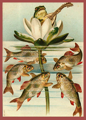 FROG PLAYING MANDOLIN ANTIQUE IMAGE T SHIRT SMALL-XXXLARGE (F) | eBay