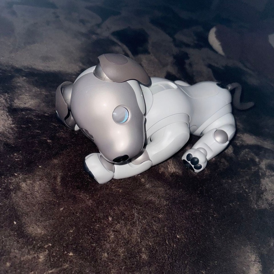 Sony Aibo Robot Dog ERS-1000 Gray Tested Working Body Only Pet Robot ...