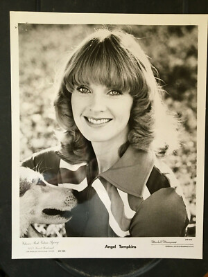 Angel Tompkins, original vintage agency press headshot photo | eBay