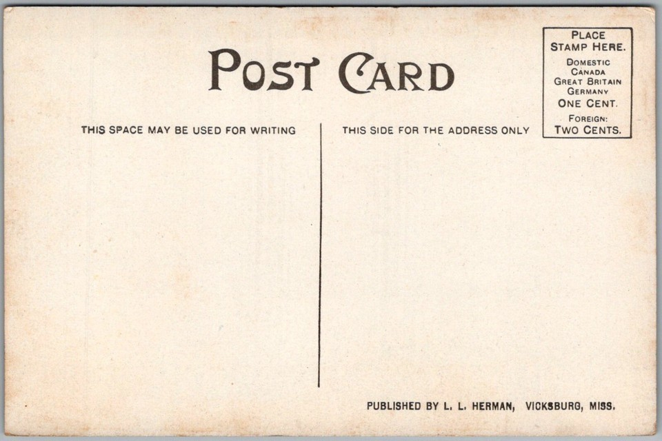 Postcard Steamer S. S. Brown; Vicksburg & Memphis Packet Co. Steamship ...