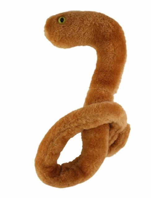 Giant Microbes Ebola Virus Educational Plush Toy 890242000124 ...
