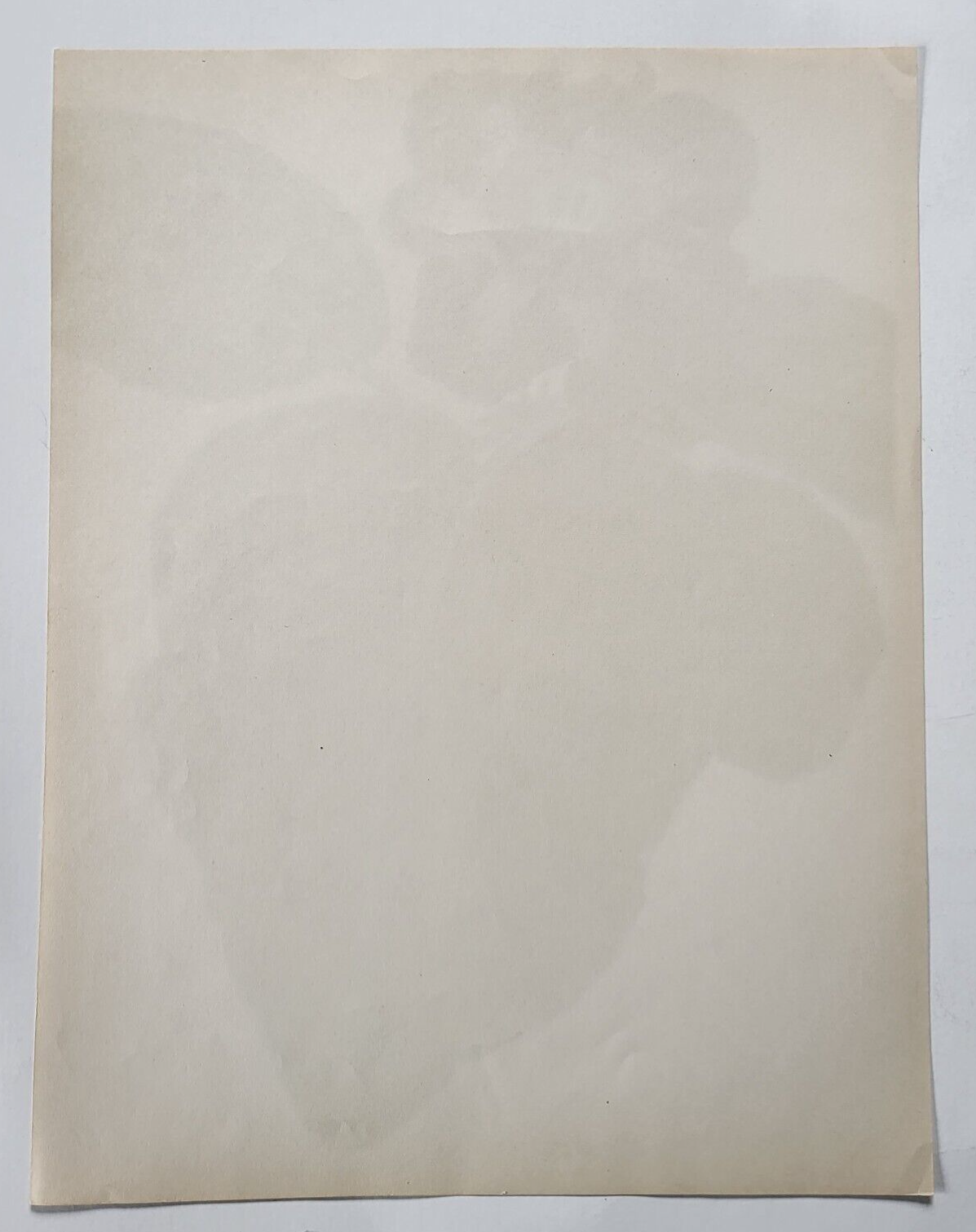 Arlette Davids Lithograph Color Plate Botanical Vintage Art Print | eBay