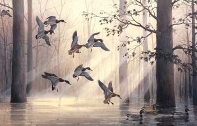 Maynard Reece - Morning Light - Mallards - RARE A/P Lithograph - Signed ...