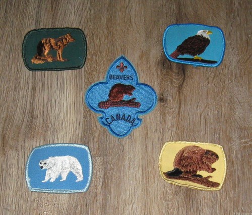 patches boy scouts badges CANADA Beavers WOLF Polar Bear EAGLE | eBay