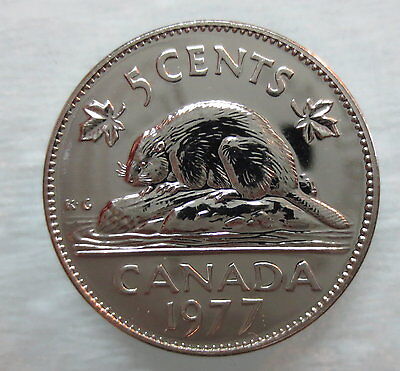 1977 CANADA 5 CENTS PROOF LIKE NICKEL COIN EBay 1977-canada-5-cents-proof-like-nickel-coin-ebay