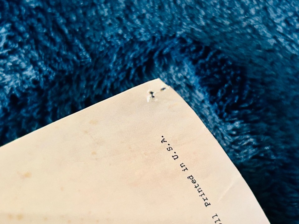 Grateful Dead RFK June 10, 1973 Poster Vintage Personality Posters USA ...