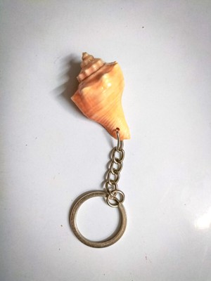 Sea Shell Key Tag Art Key Chain Key Ring High quality Gift | eBay