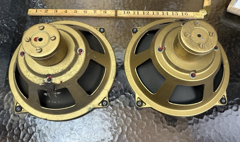 pair Grundig 10" alnico full range speakers early 1950s for open baffle ...