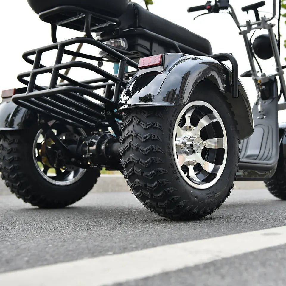3000W Fat Tire Three Wheel Electric Scooter Off-Road Trike Commuter E ...