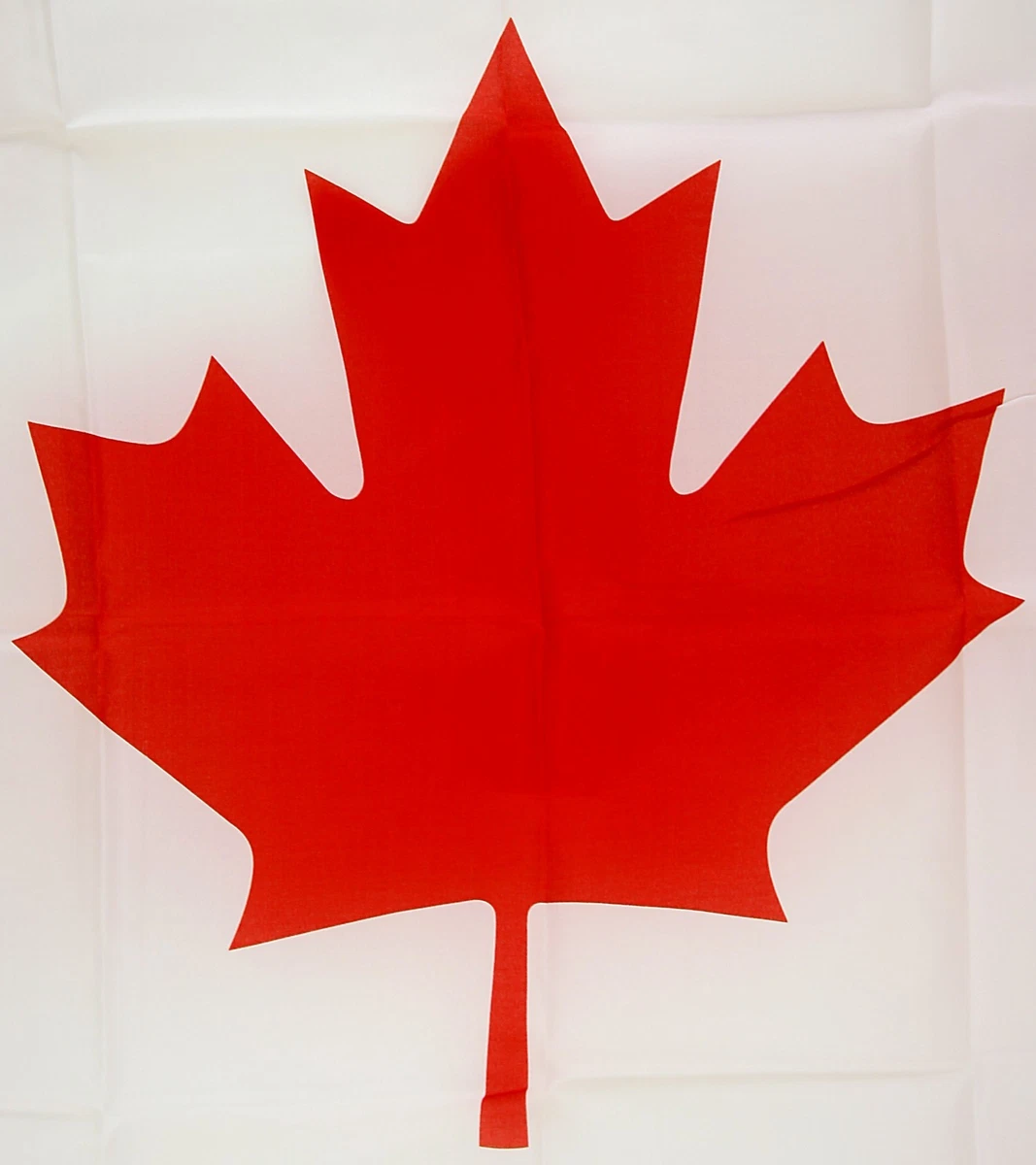 Canada National Leaf