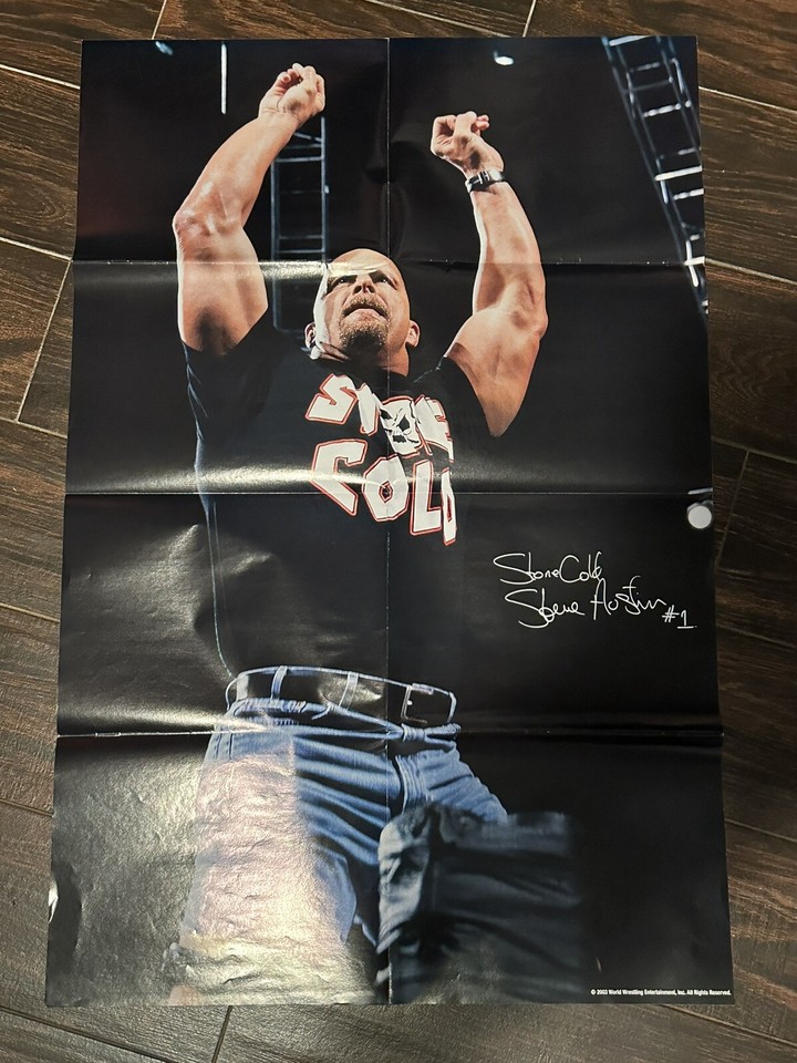 2003 WWE WWF Stone Cold & Sable Double Sided 32" x 21 1/4" Poster WCW ...