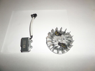 ECHO Chainsaw CS-490 Flywheel and Coil - OEM | eBay