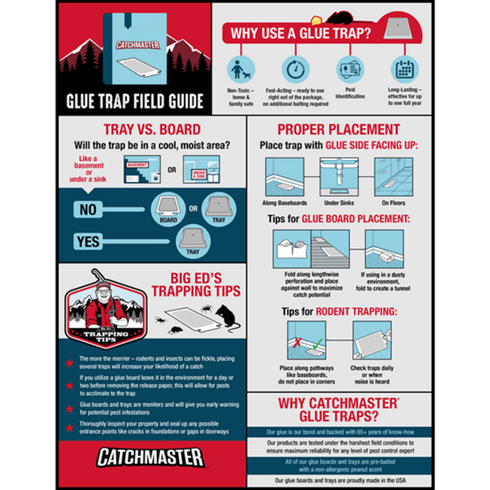 **Mouse Glue Board Traps 4ct - Safe Indoor Pest Control Strips** | eBay
