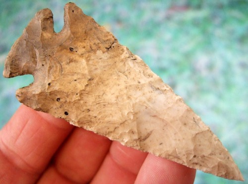 Super Fine 3 1/16 inch G10 Missouri Burlington Pine Tree Point wt COA Arrowheads | eBay