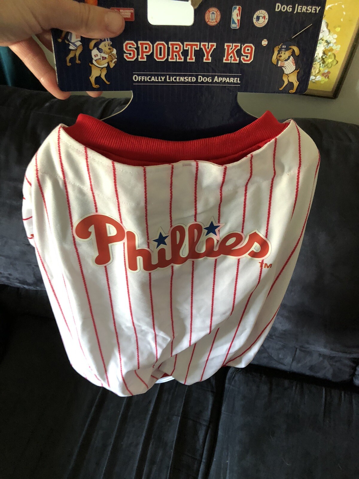 Philadelphia Phillies dog pinstripe pin stripe jersey size large new ...