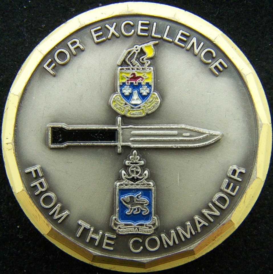 Task Force Bayonet Commander Challenge Coin | eBay