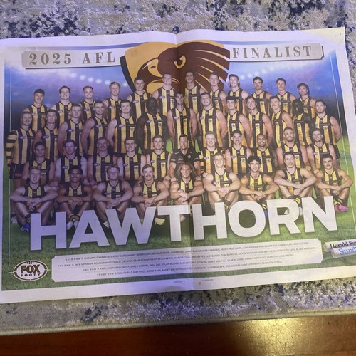 3 X Hawthorn Hawks 2025 Finalist, 2025 &2024 AFL Team Herald Sun ...