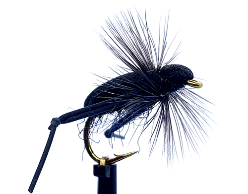 Black Swimming Beetle Sz 10 Trout Dry Fly Fishing Flies | eBay UK