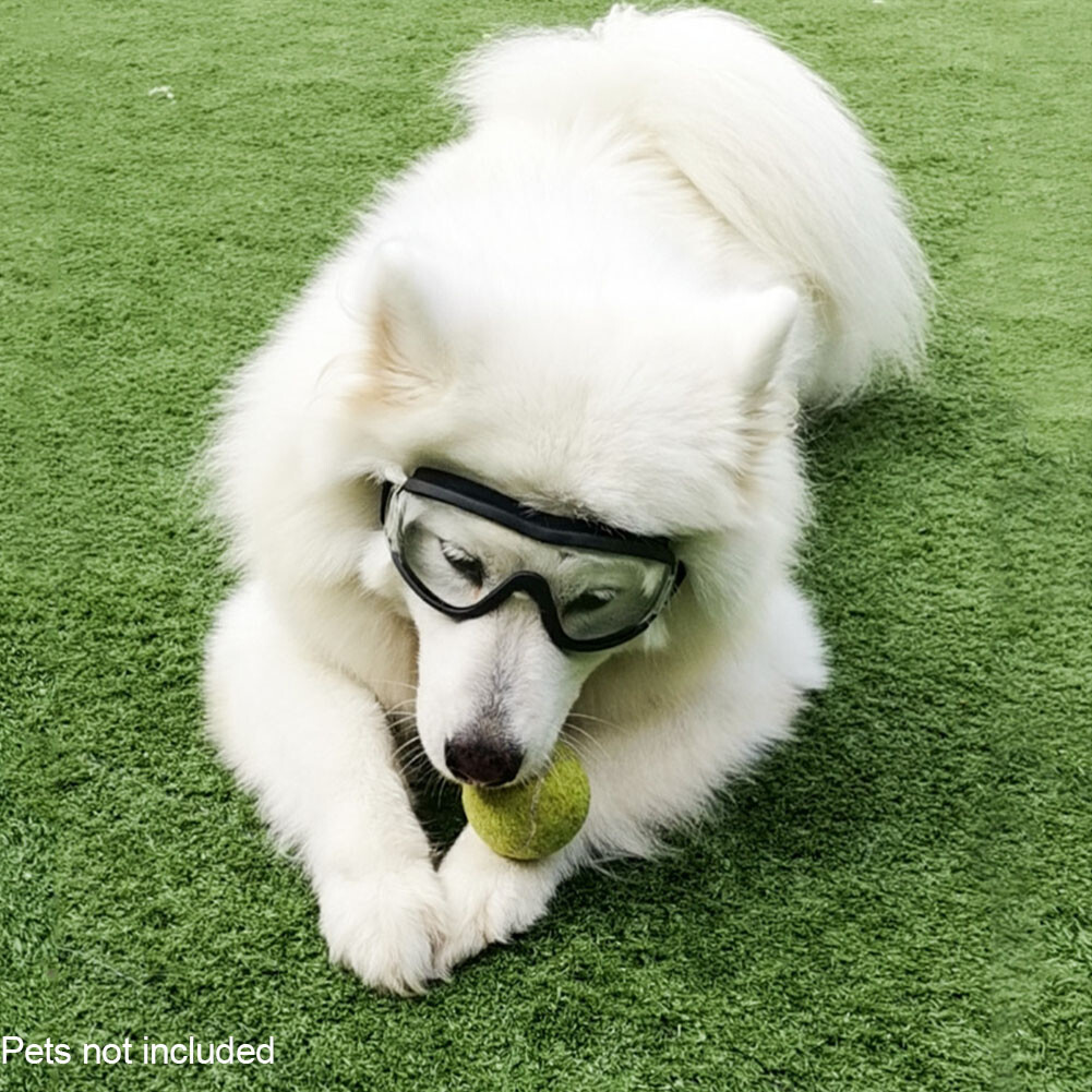 Outdoor Eye Protection Waterproof Windproof Dog Goggles Eyewear ...