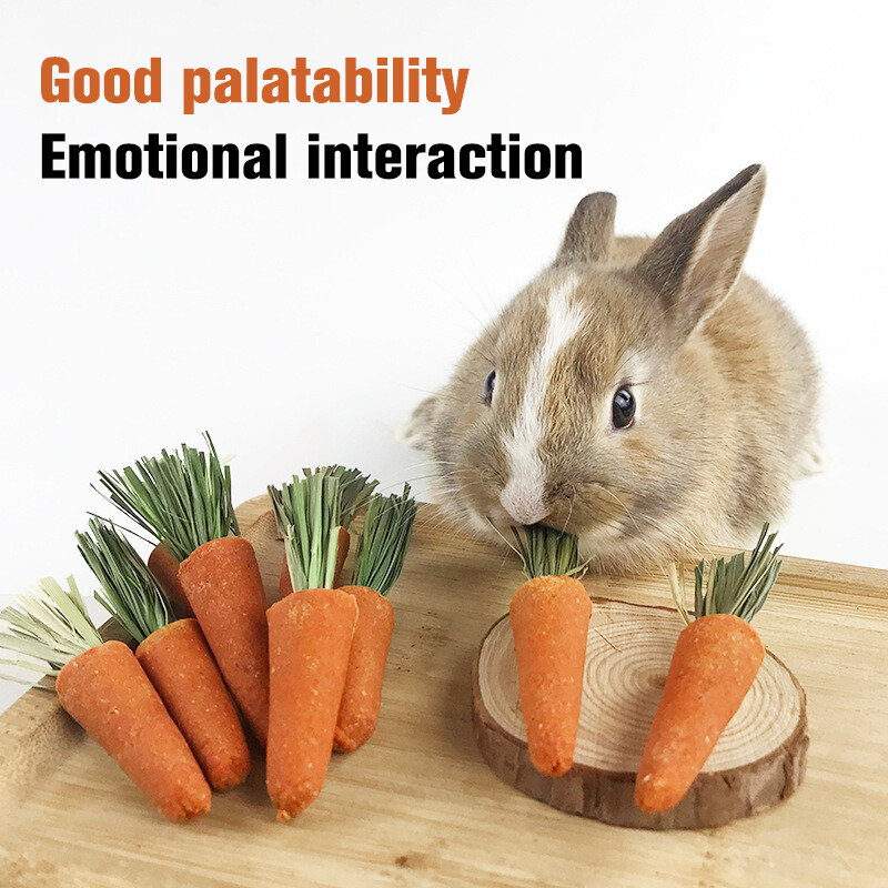 3PCS Small Animal Chew Carrots Natural Nutritious Carrot Nutritious ...