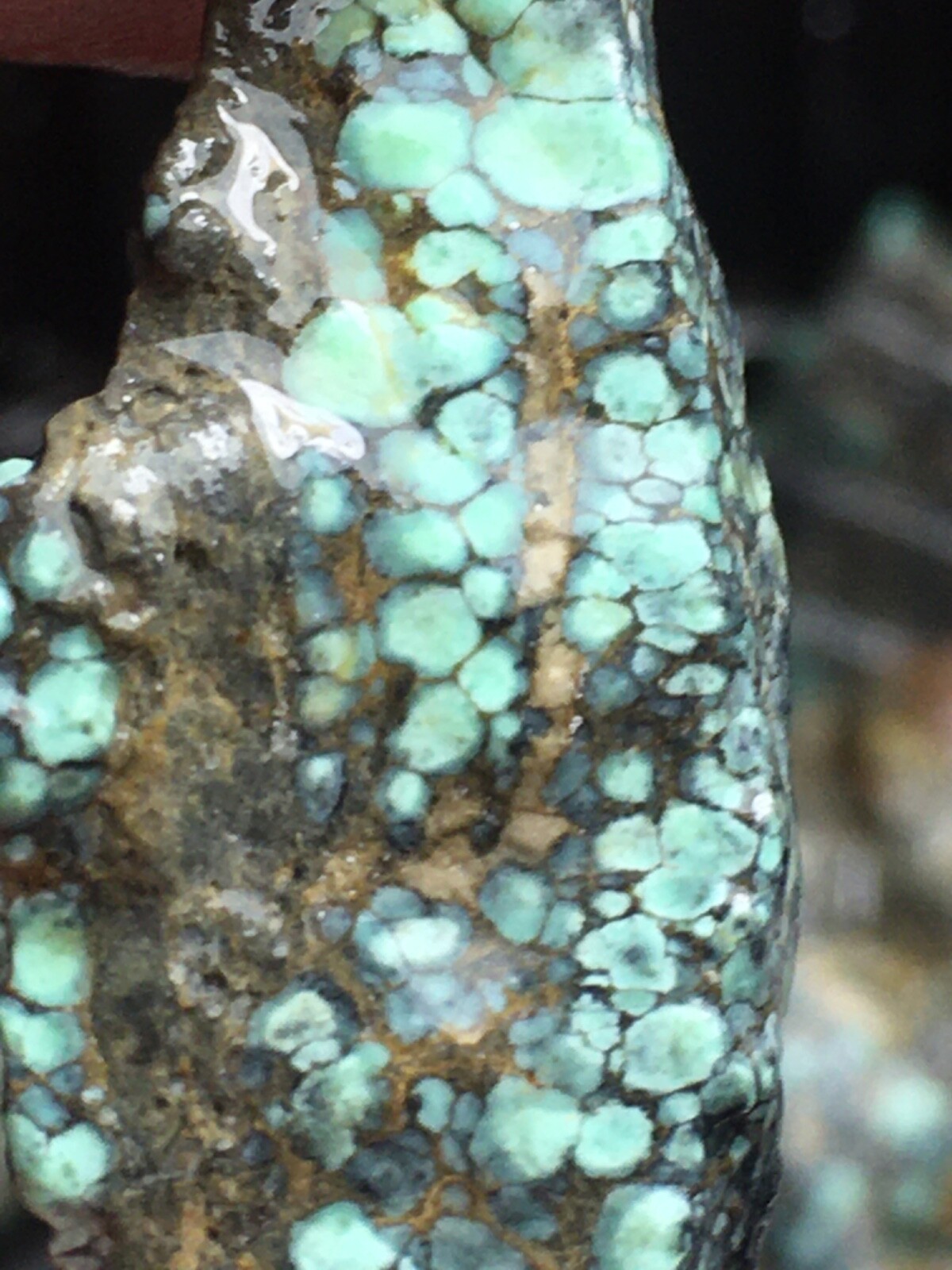 ~X - 383B Rare Super Gem Grade Select Nevada Candelaria Variscite | eBay