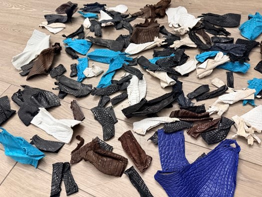 Crocodile Scraps Remnants Piece Hide Leather Skin Scrap Gator Croc ...