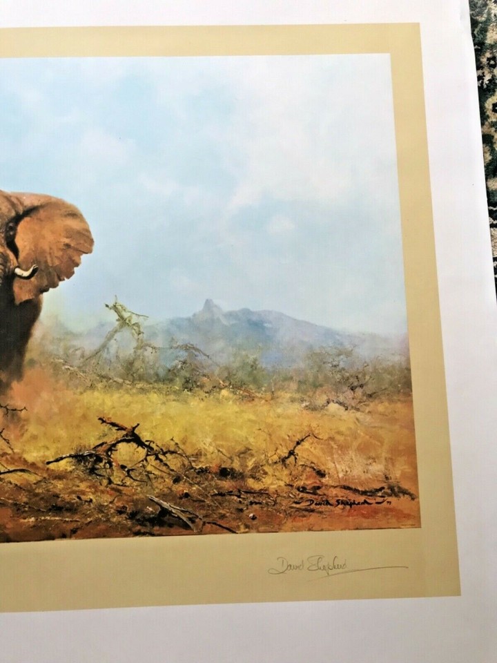 David Shepherd 1931 - 2017 signed print The Elephant and The Ant-Hill ...