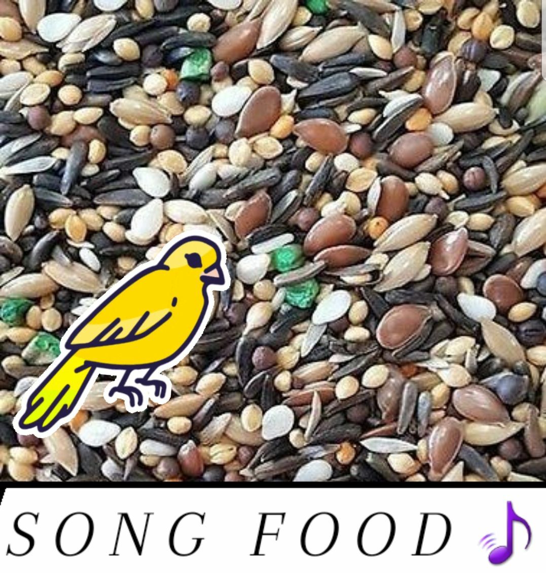 Canary Song Food Treat For Canaries FRESH!!! From Bulk Choose Size ...
