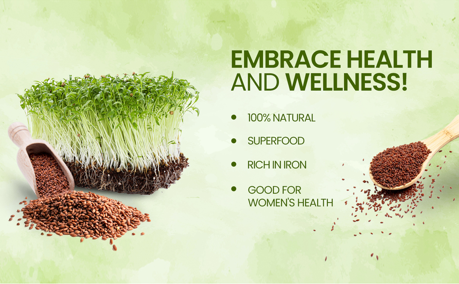 DR. Herbalist | Garden Cress Seed 14.1 OZ (400g) Halim Aliv, Rashad ...